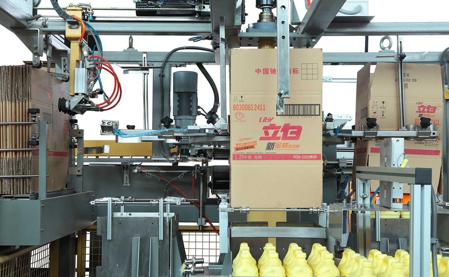 Top Industrial Case Packer Machine - TECH-LONG